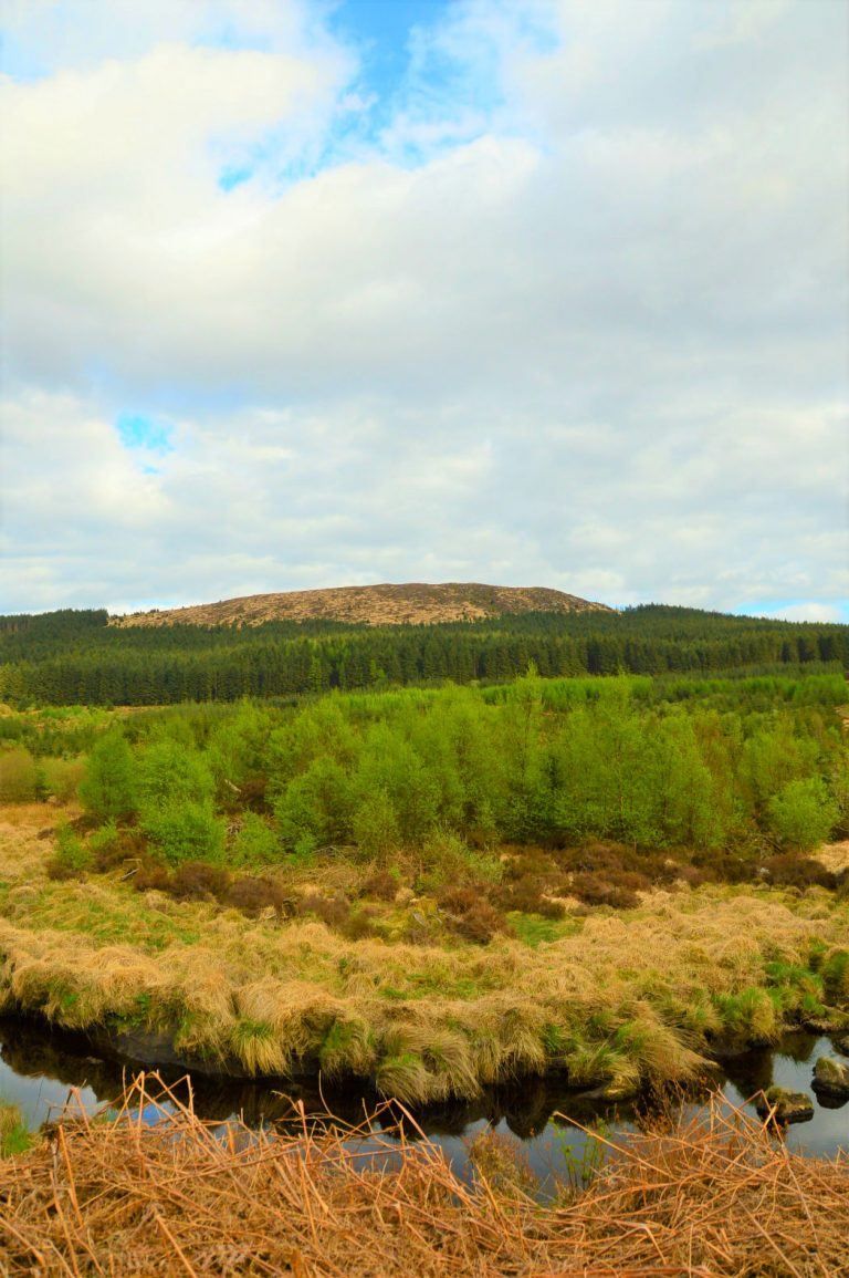 11 Things to do in Dumfries and Galloway You Won't Want to Miss