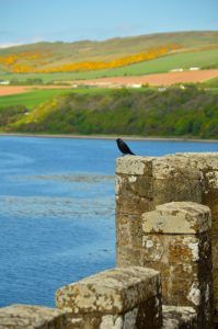 12 Fantastic Things to do in Ayrshire You'll Love I Boutique Adventurer