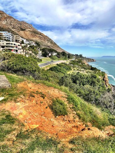 Ultimate Guide to Whale Watching Hermanus - What You Need to Know ...