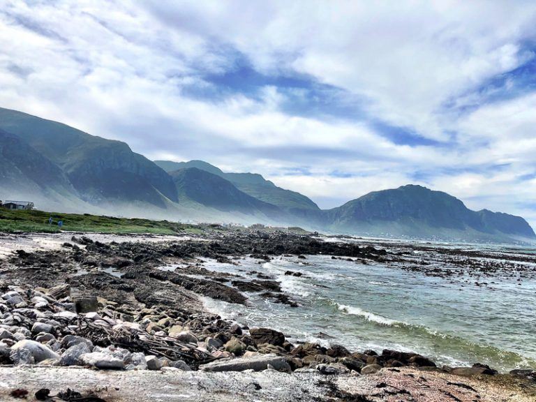 Ultimate Guide to Whale Watching Hermanus - What You Need to Know ...