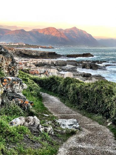 Ultimate Guide to Whale Watching Hermanus (2022) - What You Need to ...