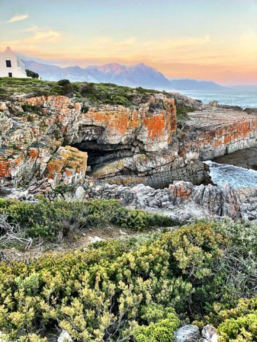 Ultimate Guide to Whale Watching Hermanus - What You Need to Know ...