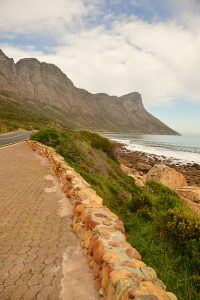 Ultimate Guide to Whale Watching Hermanus - What You Need to Know ...