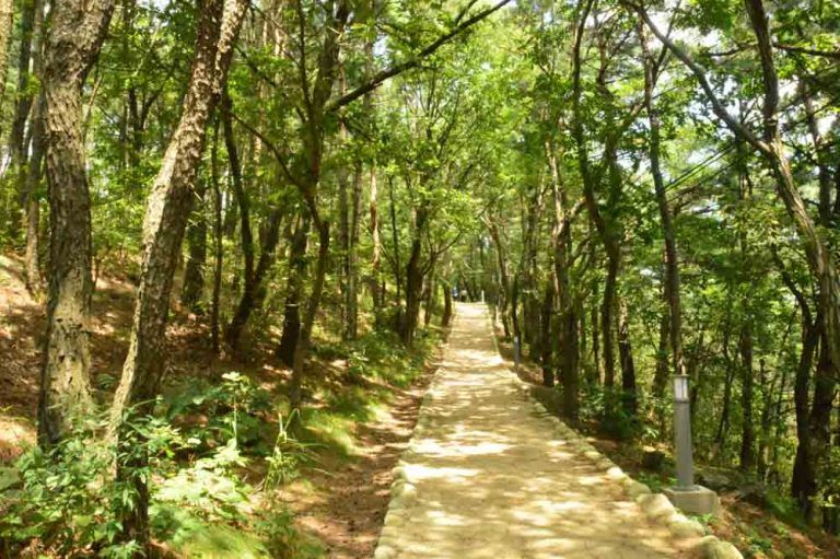 12 Best Things to Do in Daegu Korea You Won't Want to Miss