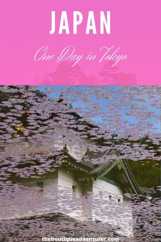 One Day in Tokyo: What You Must See and Can't Miss