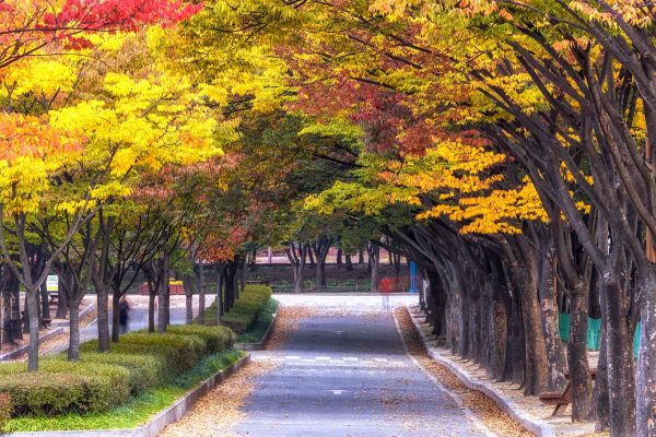 8 Best Things to do in Incheon You're Going to Love