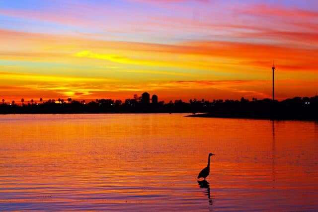 15 Sensational Sunsets In California Where You Need To Go To Watch The 15-sensational-sunsets-in-california-where-you-need-to-go-to-watch-the