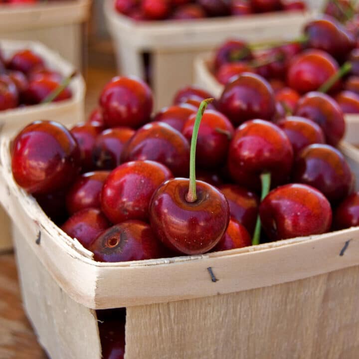 15 Best Cherry Picking in Michigan Farms and Orchards