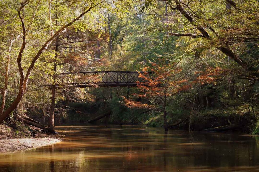 21 Awesome Things To Do in East Texas (2022) I Boutique Adventurer