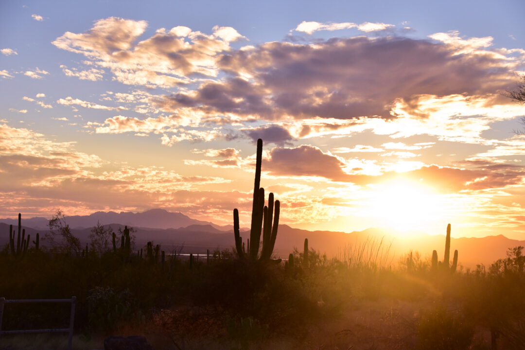 11 Best Places to See the Sunset in Tucson You'll Love I Boutique ...
