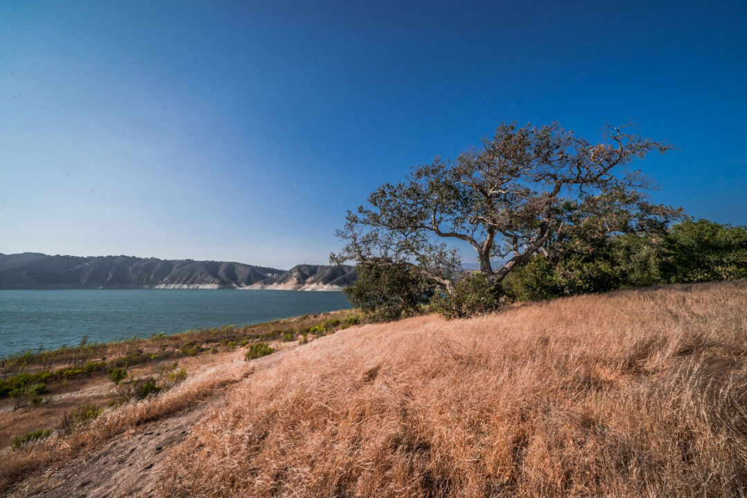 13 Lakes in Southern California You Should Visit (2022) I Boutique ...