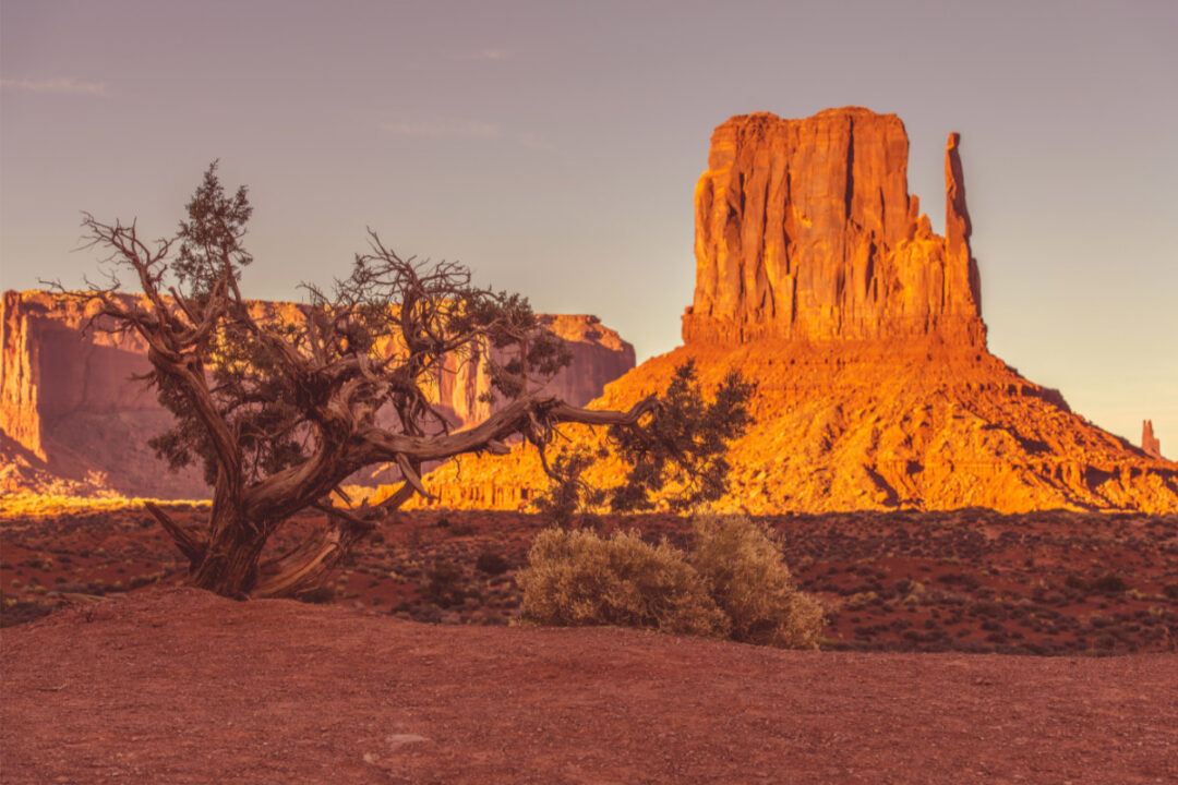 29 Arizona Landmarks Not to Miss (2022) I Boutique Adventurer
