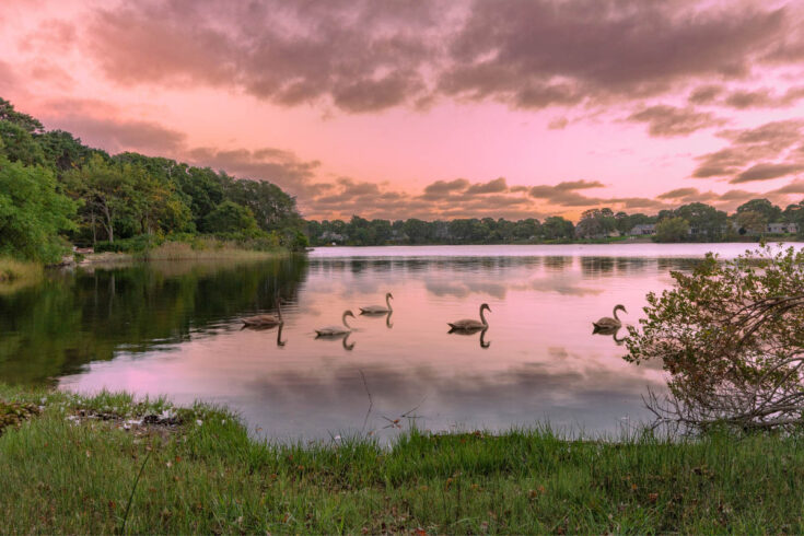37 Unique Things to Do in Maine You'll Love (2022) I Boutique Adventurer