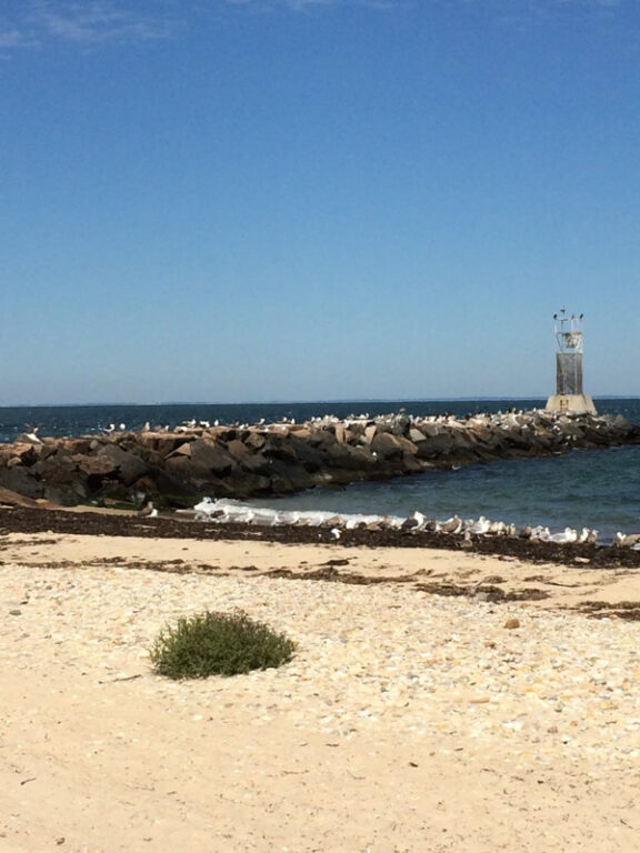 11 Marvellous Beaches in Montauk Long Island (2022) You’ll Love I ...