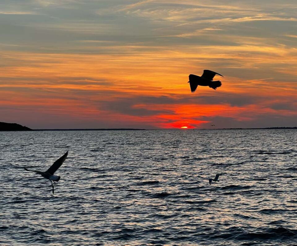11 Marvellous Beaches in Montauk Long Island (2022) You’ll Love I ...